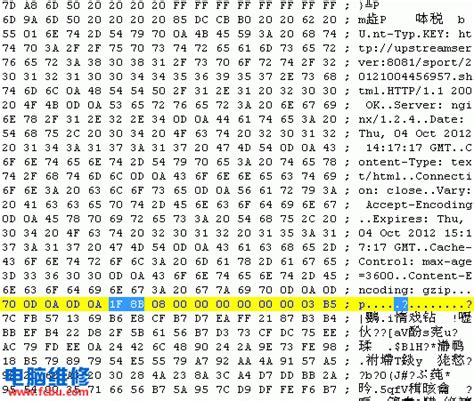 如何查看gzip网页文件内容的方法 不懂博客