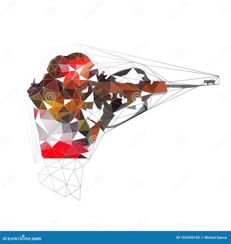 Biathlon Shooting Low Polygonal Isolated Vector Illustration Stock Vector Illustration Of