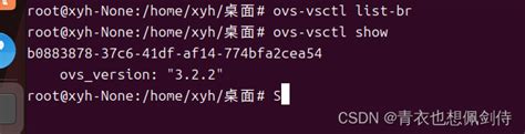 open vswitch的网桥与流表管理 open vswitch的网桥管理 csdn博客