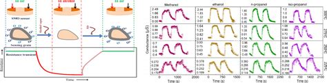 Autocombustion Route Derived Zinc Ferrite Nanoparticles As Chemiresistive Sensor For Detection