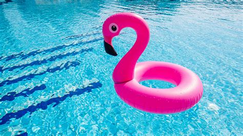 플라밍고 장난감 여름 해변 배경을위한 수영장 물에 분홍색 팽창식 플라밍고 럭셔리 라이프 스타일 여행 0명에 대한 스톡 사진 및 기타 이미지 Istock