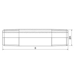 Pipe Nipple NPT Thread 316L EN 10217 7 SOFRA INOX