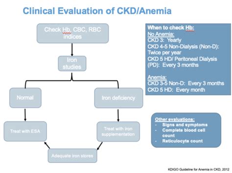 Esrd Anemia Flashcards Quizlet