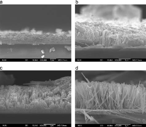 Sem Cross Section Images Growth Of Zno Nanorods And Nanorod Arrays As Download Scientific
