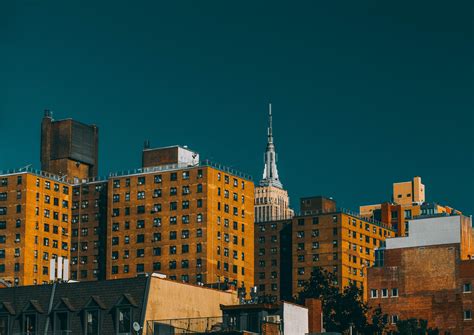 New York Psychotherapy And Counseling Center Community Resources Library