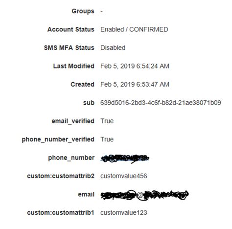 Amazon Web Services Custom Attribute Not Passed Into Idtoken Created