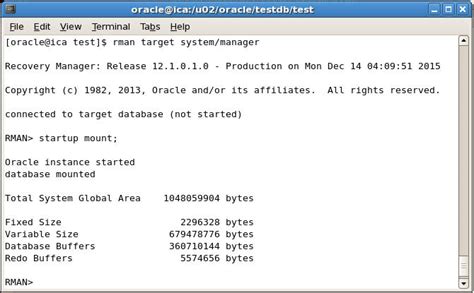 How To Recover Database Using Rman Noarchivelog