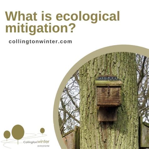 In Ecology Mitigation Is A Method Used To Lessen The Impacts Of A In Ecology Mitigation Is A Method Used To Lessen The Impacts Of A