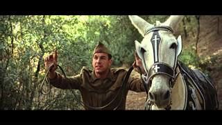 La Mula Película Ver Online Completa En Español