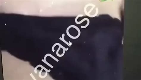 Awek Tunjuk Tetek Blond Sex Hd Porn Video Fe Xhamster Xhamster