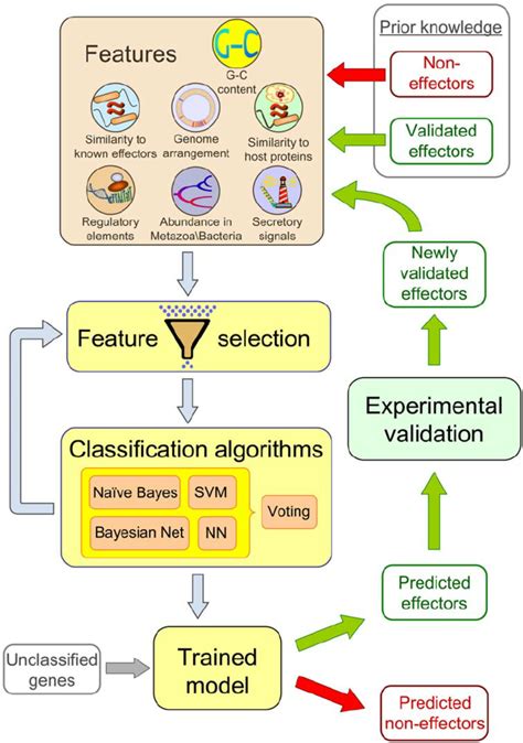 Schematic Representation Of The Computation And Experimental Steps Used