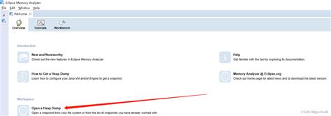 一次oom问题排查launchedurlclassloader内存 Csdn博客