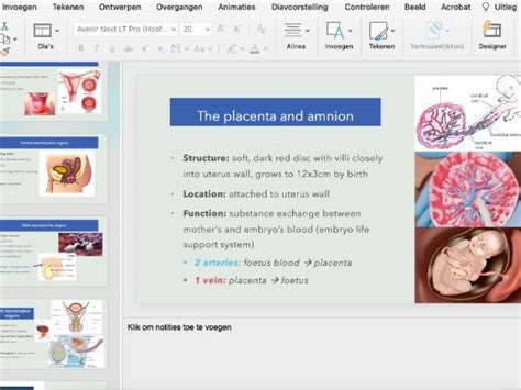 Igcse Biology B11 Reproduction In Human Teaching Resources