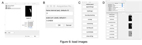 Github Fjmrt Boundarytrack Boundary Tracking Of Binarized Cell Image Sequence