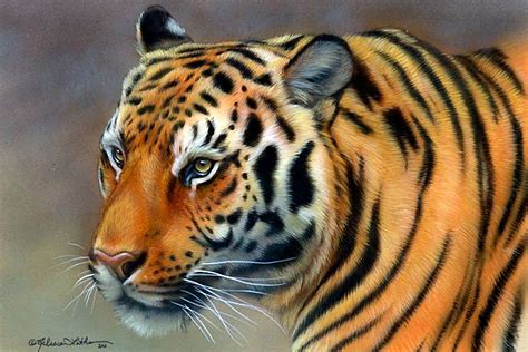 Ребекка Латам (Rebecca Latham) – художница дикой природы — JuicyWorld