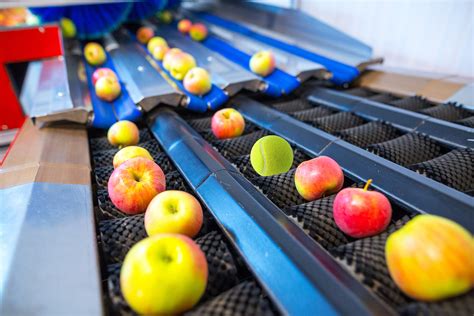 know what you don t know allowing classifiers to reject input samples imt ag