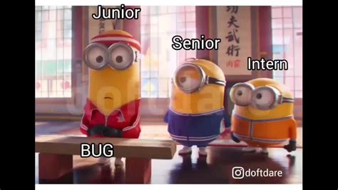 [video] Aman Thakur On Linkedin Software Developer No Role Explained