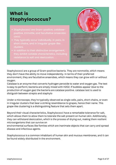 Staphylococcus Full Notes Microbiology Pdf