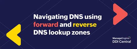 Forward And Reverse DNS Lookups What They Are Why You Need Them And