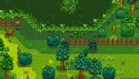 Cindersap Forest Stardew Valley Wiki