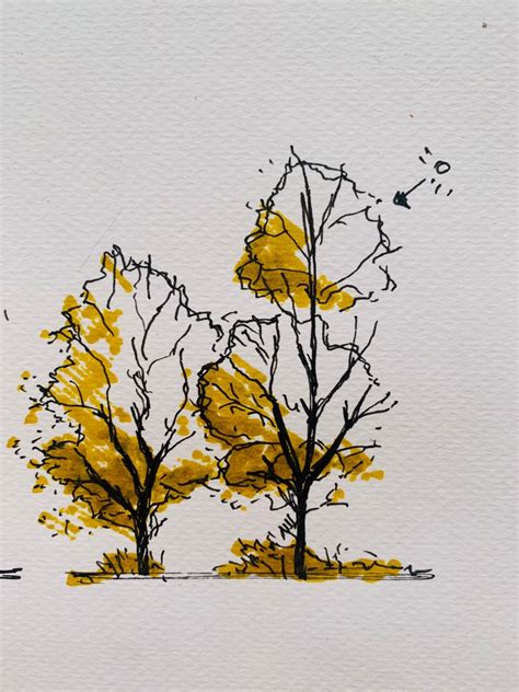 How To Draw Trees Tutorial With Narration Architecture Youtube