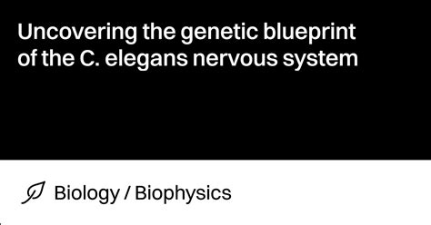 Uncovering The Genetic Blueprint Of The C Elegans Nervous System