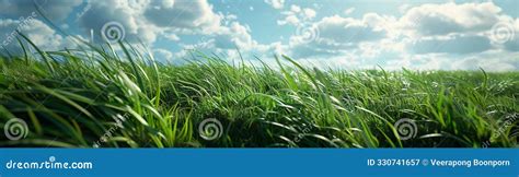 unreal engine 3d grass low angle wide lens octane rendering clean