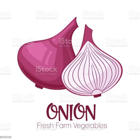 벡터 양파 흰색 배경에 고립입니다 야채 농장 시장 메뉴에 대 한 그림입니다 건강 식품 디자인 포스터입니다 만화 스타일 벡터 일러스트 레이 션 0명에 대한 스톡 벡터 아트 및