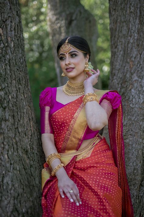 Traditional Indian Sari Dress
