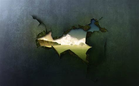 배경 화면 햇빛 나무 경치 그림 반사 잔디 녹색 조직 지역 잎 어둠 스크린 샷 대기 현상 컴퓨터 벽지 2560x1600 Mxdp1