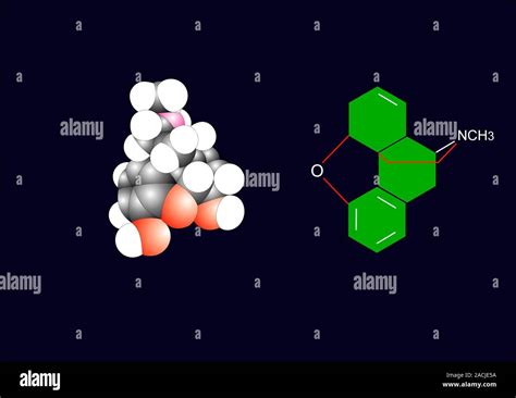 Morphine Molecule Computer Model Showing The Structure Of The Opiate