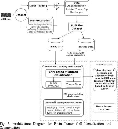 Figure 3 From Automated Brain Tumor Diagnosis And Localization Using Cnn And U Net 3d A