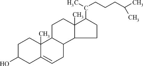 Cholesterol Molecule Structure My Xxx Hot Girl