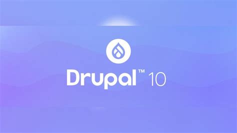 Migrating Taxonomy Vocabularies And Field Collections To Drupal 10