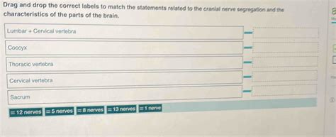 Solved Drag And Drop The Correct Labels To Match The Statements Related To The Cranial Nerve