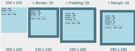 What Are Margin And Padding Rules In Css Css Reset