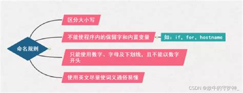 【shell脚本编程（概念、变量、语句）】shell脚本字符和变量 Csdn博客