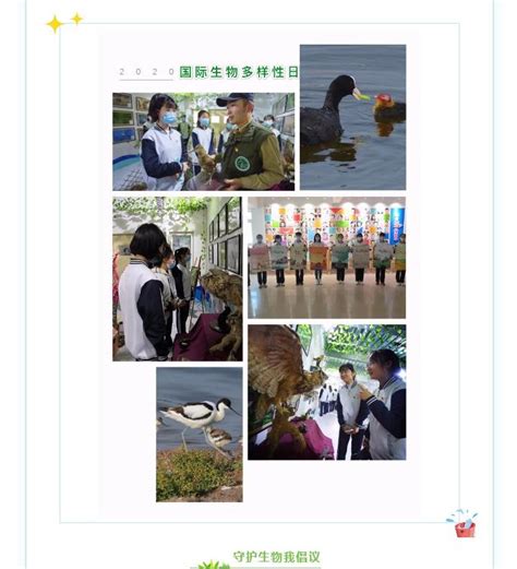 国际生物多样性日以自然之道养万物之生青岛市城阳区天泰城学校国际生物多样性日主题志愿活动 中国野生植物保护协会