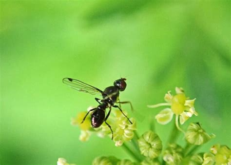 Joshika Komarla Author Profile On Zme Science