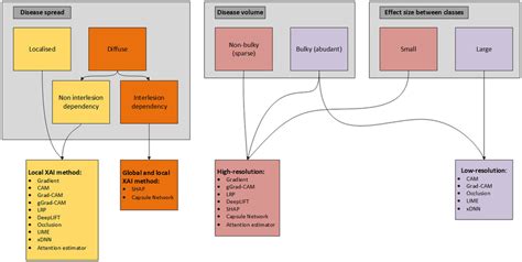 Flowchart Of Xai Methods Applicable For Disease Specific