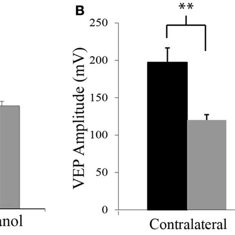 Contralateral Bias Index And Amplitudes Of Visually Evoked Potentials Download Scientific