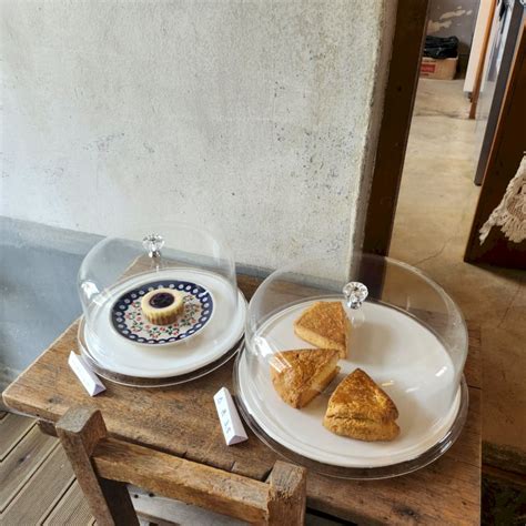 반려생활 청양 애견동반 카페 원래 보건소였던 곳이 카페로 청양 춘소커피