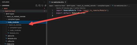 Remote Type Hints Module Federation
