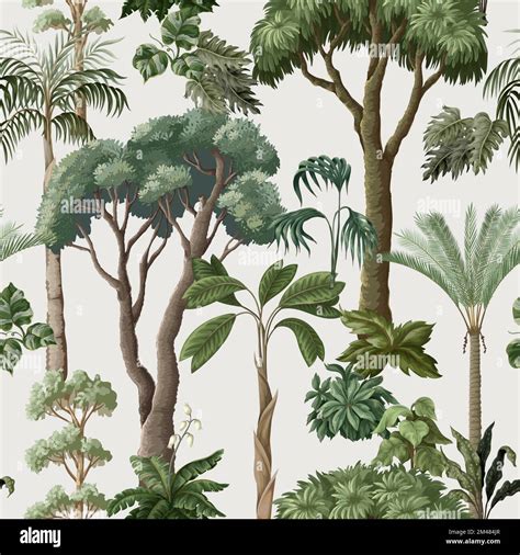 Seamless Pattern With Jungle Trees And Plants Vector Stock Vector