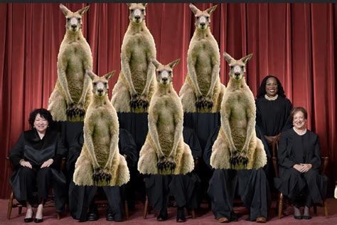 The Trump Kangaroo Supreme Court No Precedents Just Politics Blank