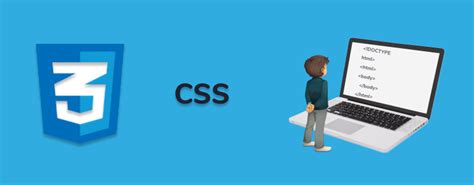 Css Basic And Selectors