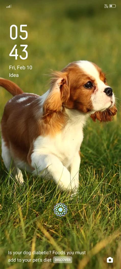 Shubhneet Brar Medium