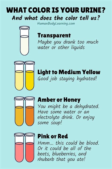 Dark Urine Color Chart