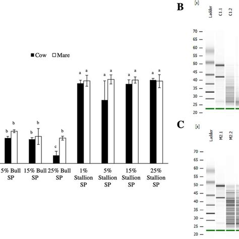 A Rna Integrity Number Rin Of Vaginal Cervical Or Uterine Explant Download Scientific