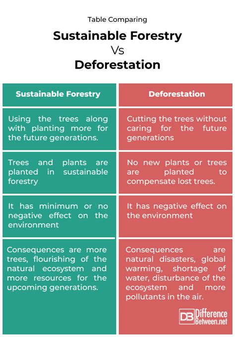 Sustainable Forestry And Deforestation Difference Between